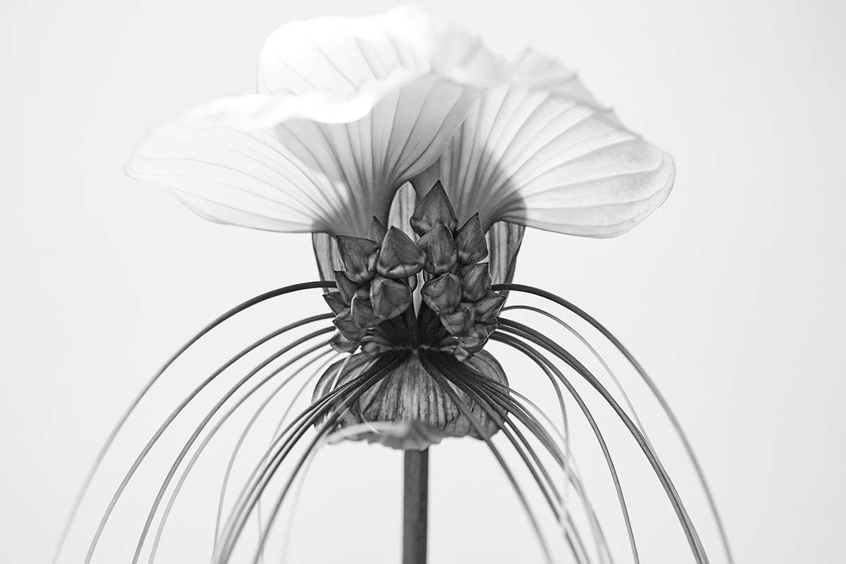 Group Workshops | Sarasota Photography School